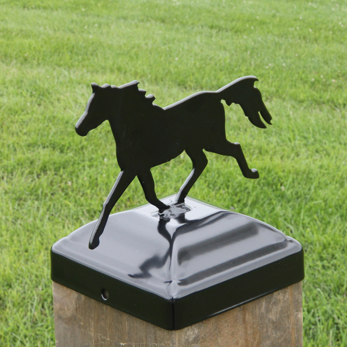 Horse Post cap for 6x6 wood post - Madison Iron and Wood