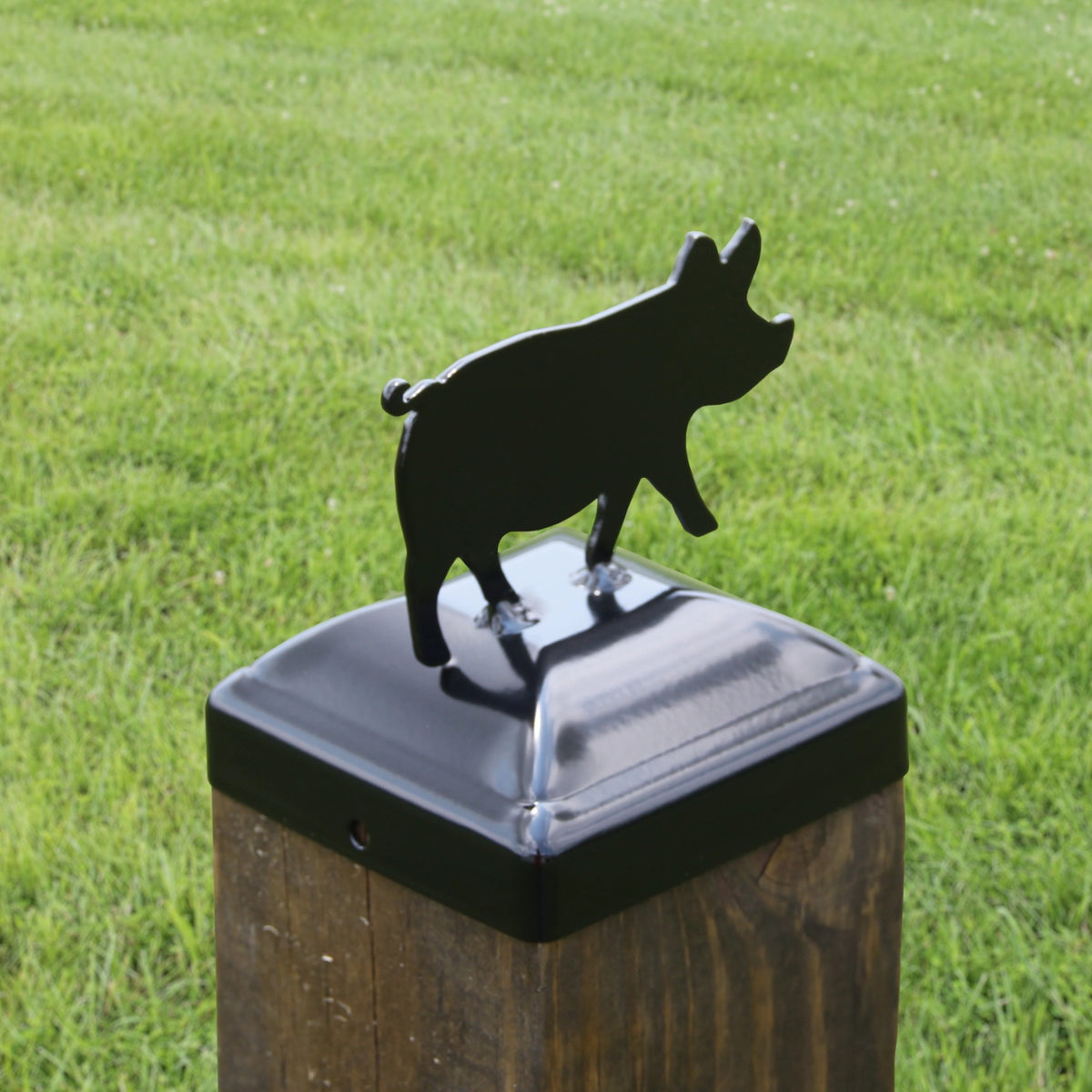 6X6 Nominal Pig Post Cap (5-1/2" actual) - Madison Iron and Wood