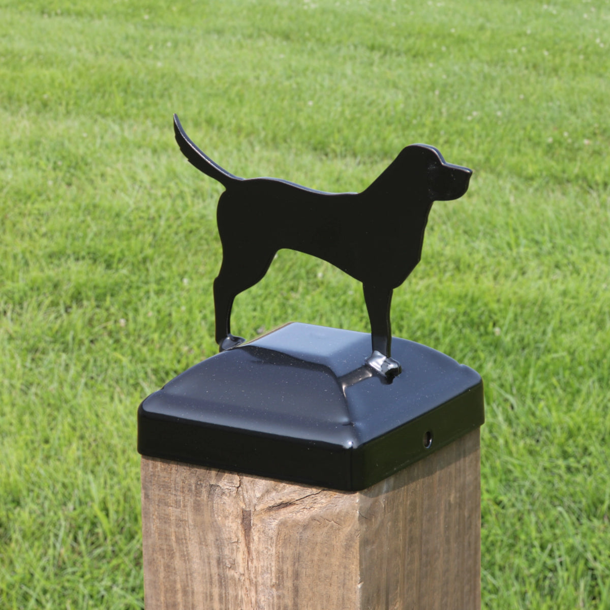 4x4 Labrador Post Cap (Fits 3.5 x 3.5 Post Size) | Madison Iron and Wood
