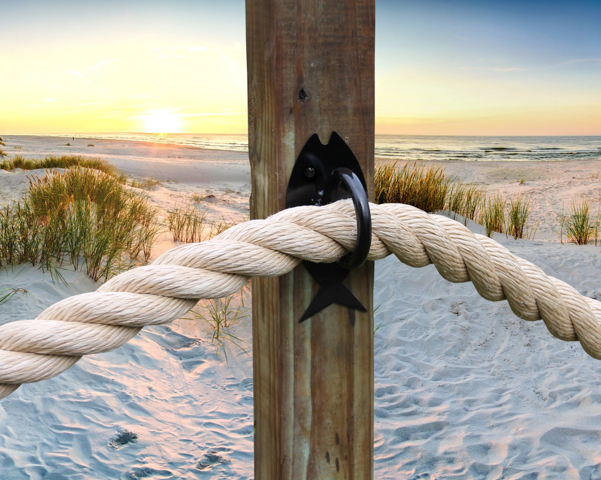 Fish Nautical Rope Ring, Light Strand Holder (3 sizes available ...