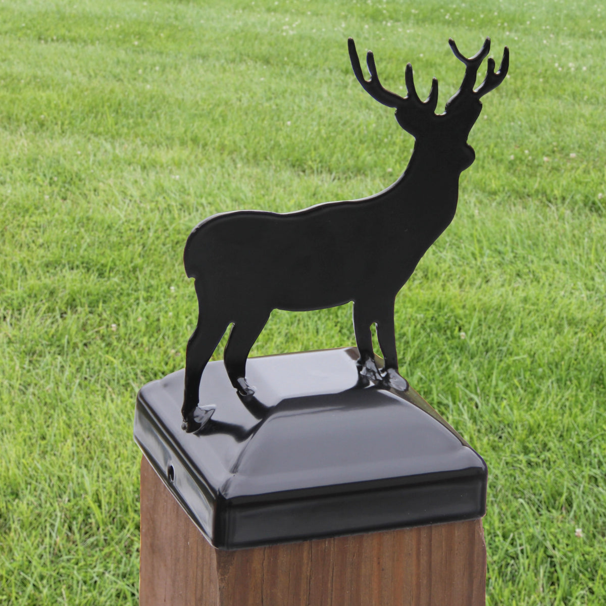 Deer Post cap for 6x6 wood post - Madison Iron and Wood