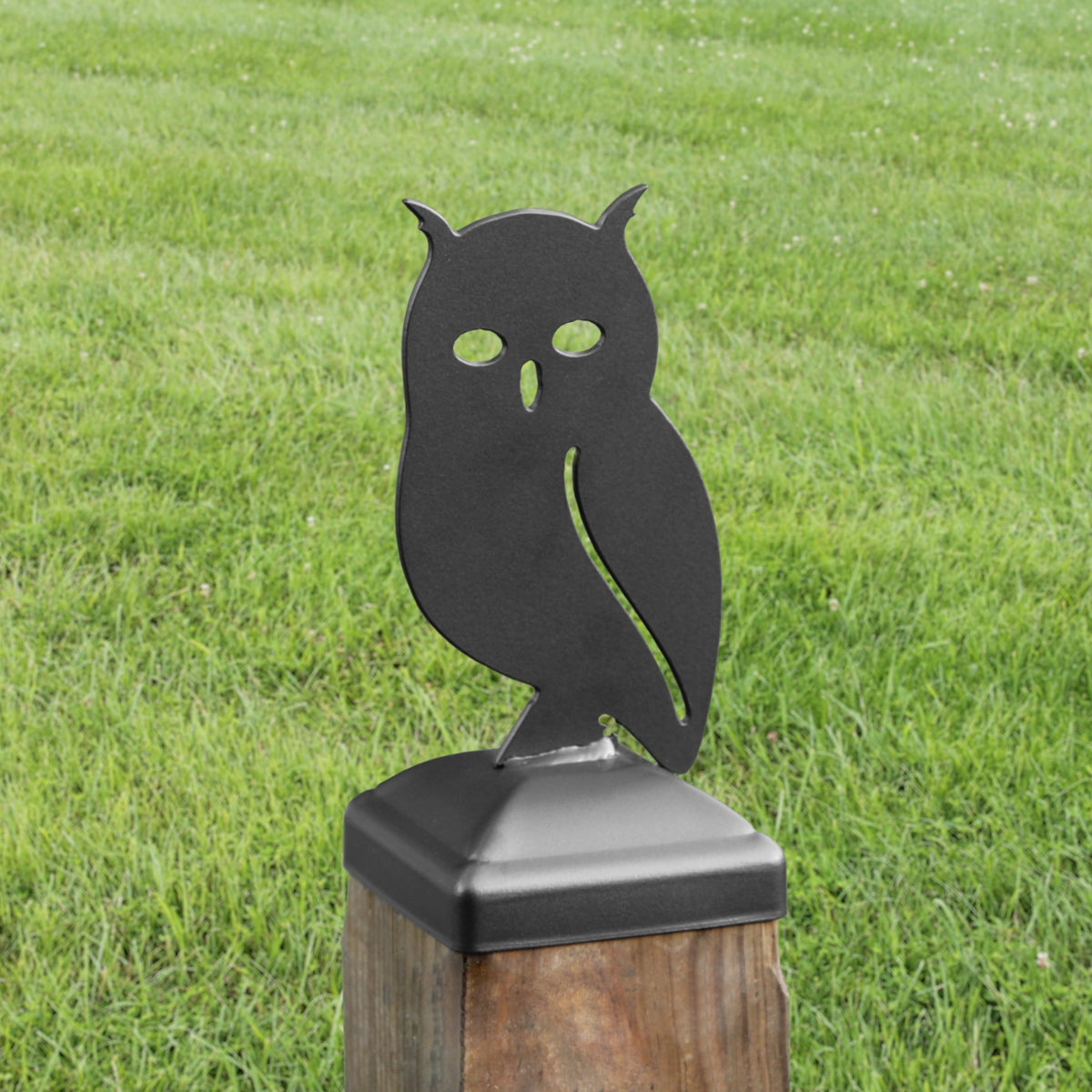 Owl Fence Post Cap – Fencing & Decks - Madison Iron and Wood