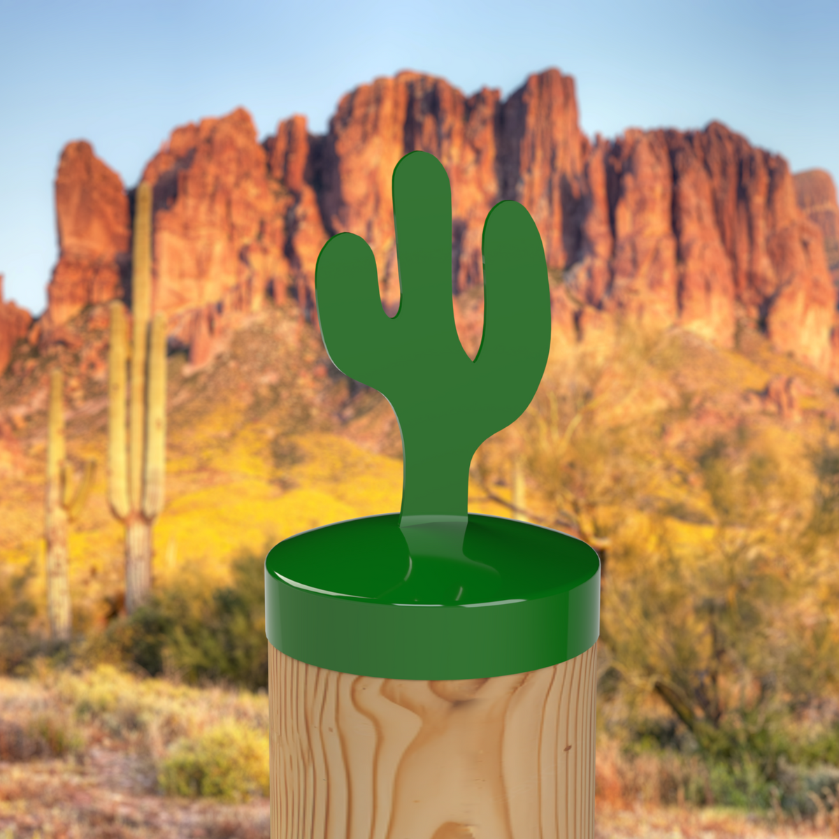 Cactus, Round Post Cap - 4"x4" Post Size - Madison Iron and Wood