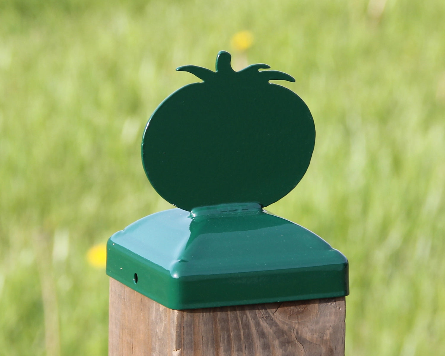 6X6 Tomato Post Cap 5 5 X 5 5 Post Size Madison Iron And Wood 6X6 Tomato Post Cap 5 5 X 5 5 Post Size Madison Iron And Wood