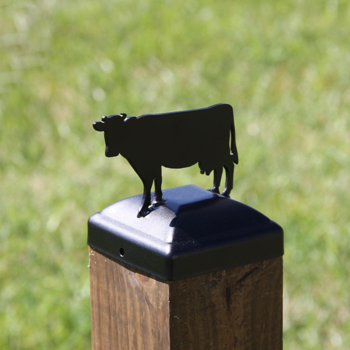 6X6 Cow Post Cap (5.5 x 5.5 Post Size)