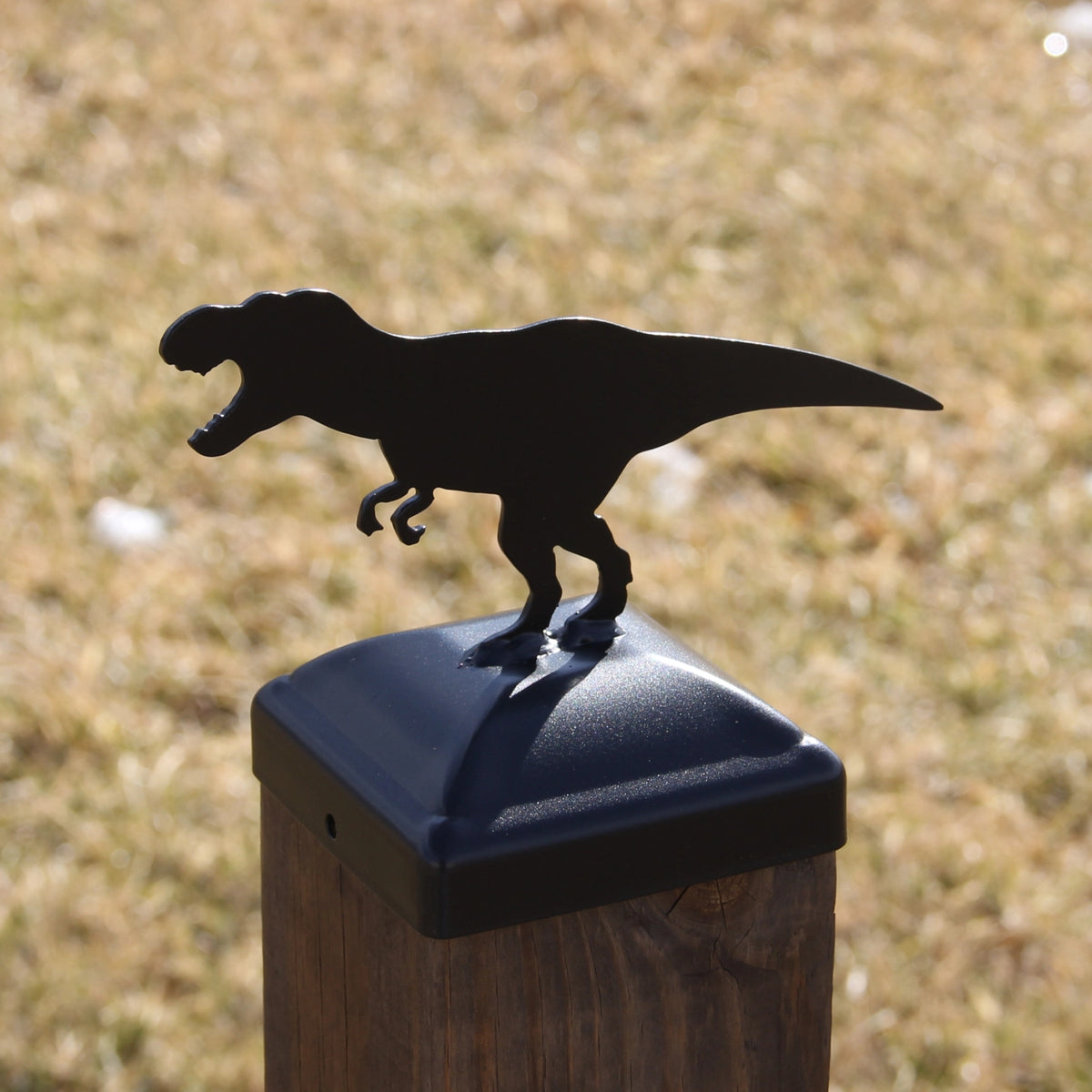 4x4 T-Rex Fence Post Cap – Fencing & Decks - Madison Iron and Wood