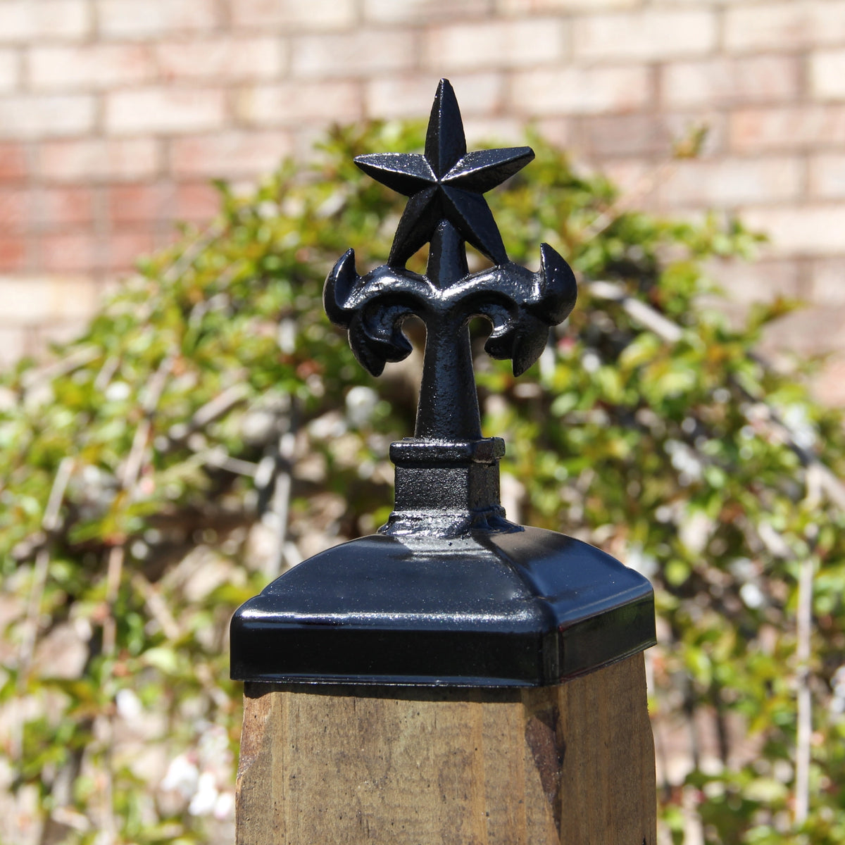 Palm Tree and Star Fence Post Cap - Fence Decor - Madison Iron and Wood
