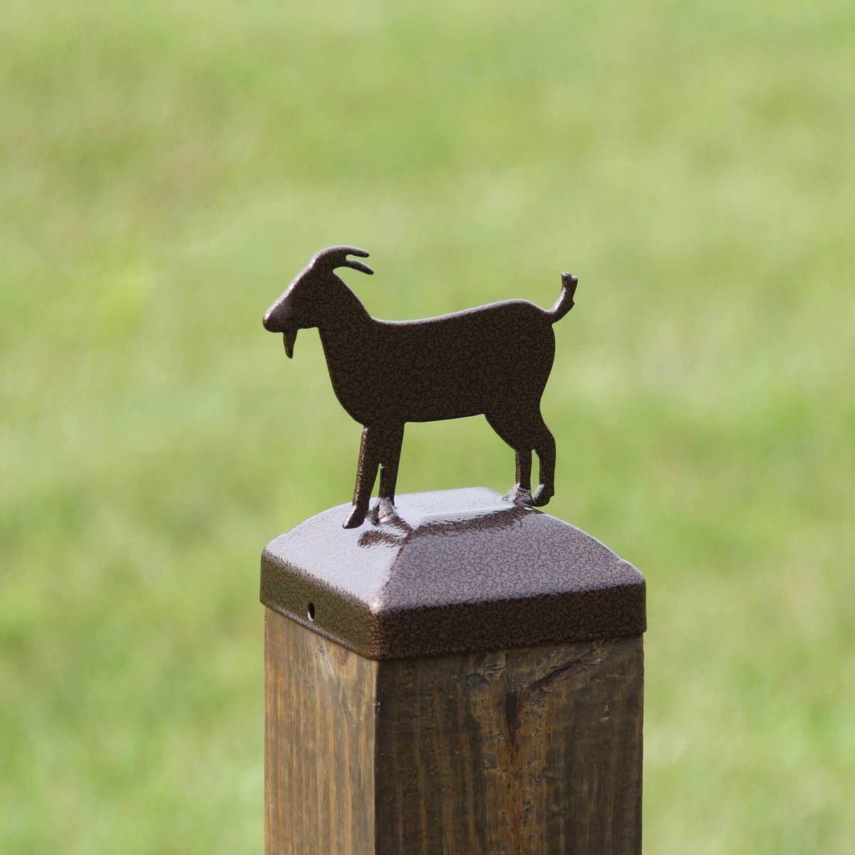 Goat Fence Post Cap – Fence Decor - Madison Iron and Wood