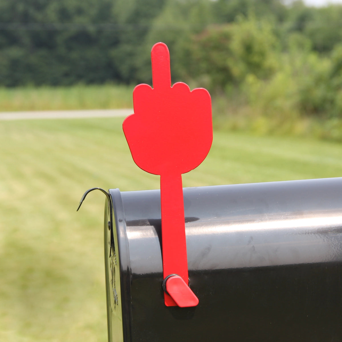 Middle Finger Mailbox Flag, Decorative Mailbox Flag, Metal "The Bird ...