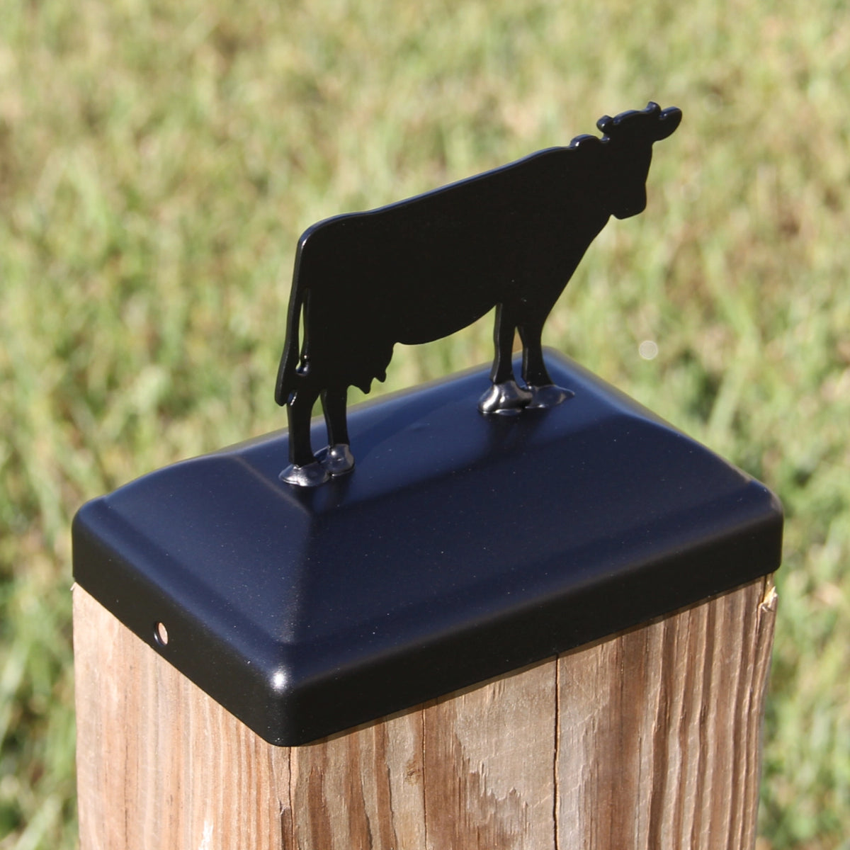 4x6 Cow Post Cap (3.5 x 5.5 Post Size) | Madison Iron and Wood
