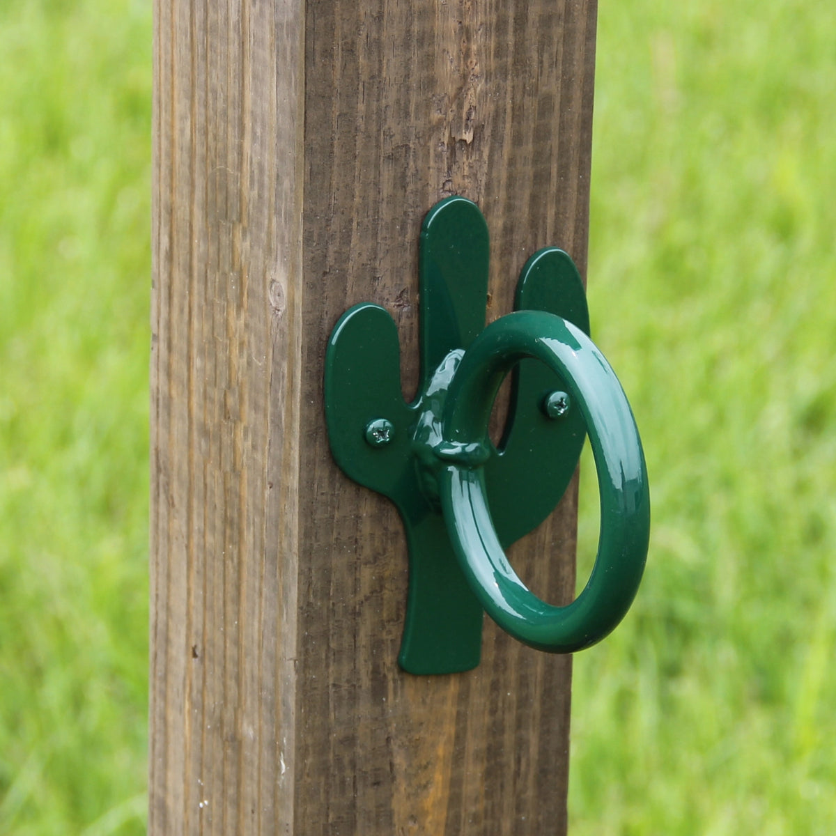 Cactus Nautical Rope Ring, Light Strand Holder (3 sizes available ...