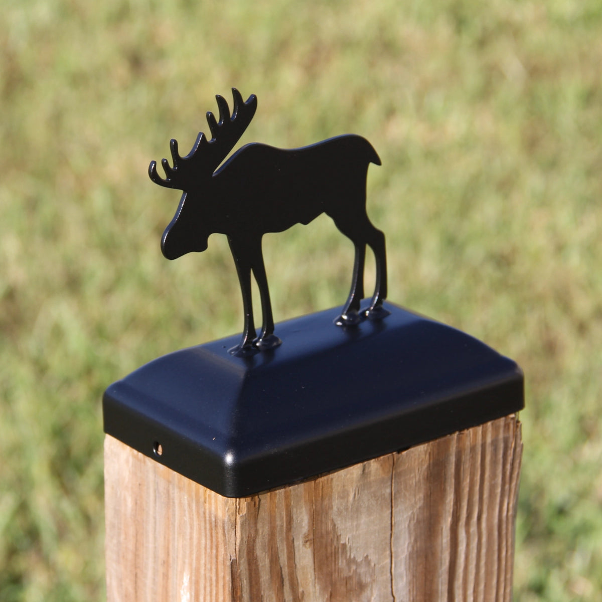 4x6 Moose Post Cap (3.5 x 5.5 Post Size) | Madison Iron and Wood