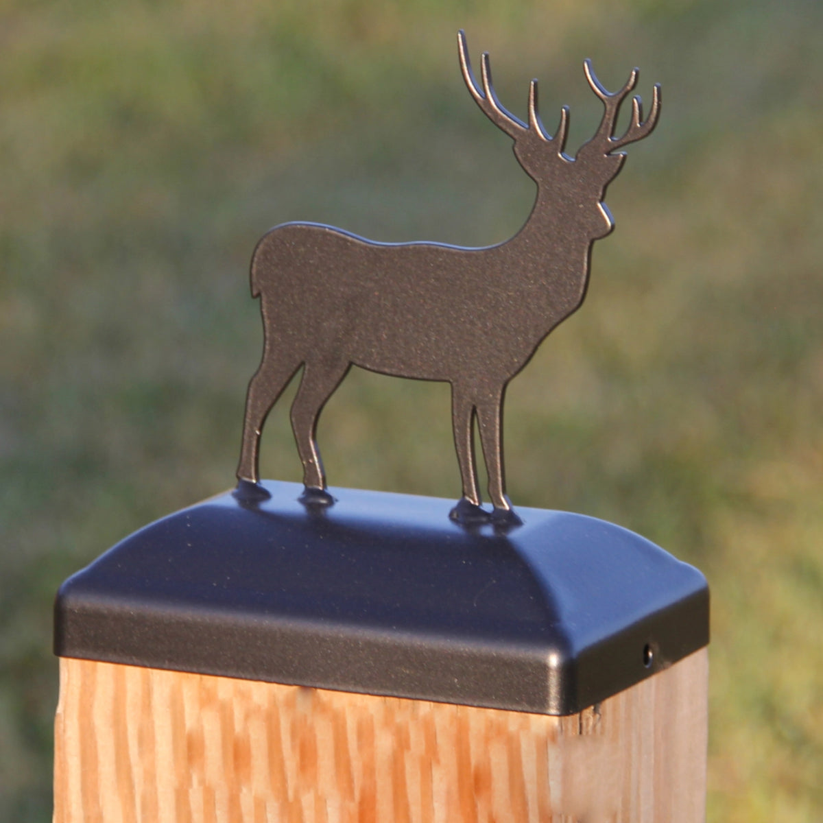 4x6 Deer Post Cap (3.5 x 5.5 Post Size) - Madison Iron and Wood